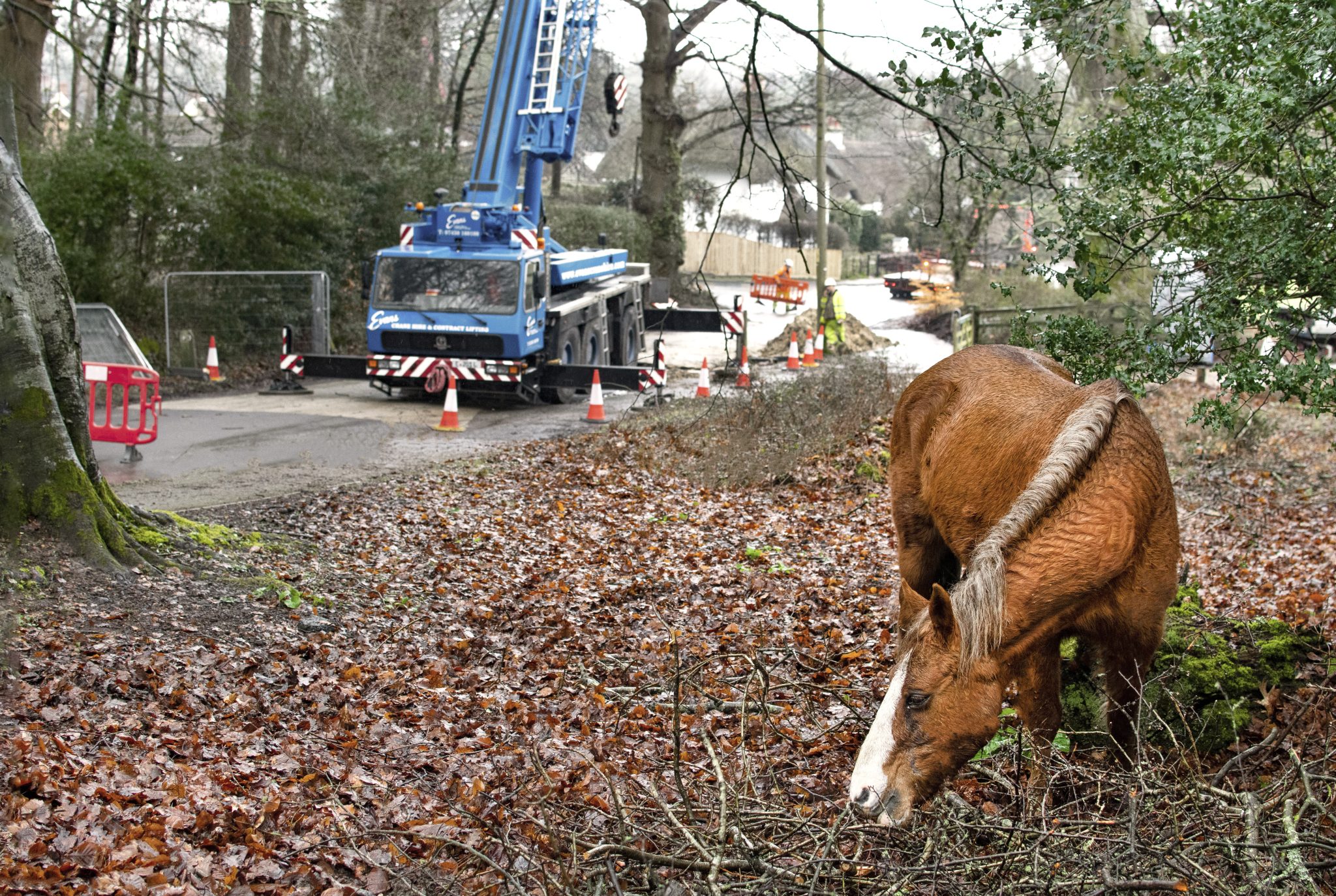 What is a cattle grid for? Triangle Limited Cattle Grids